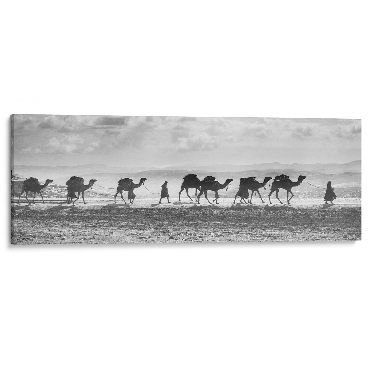 "Camel Train on the Mount of Olives" Remastered Historical Photograph ...