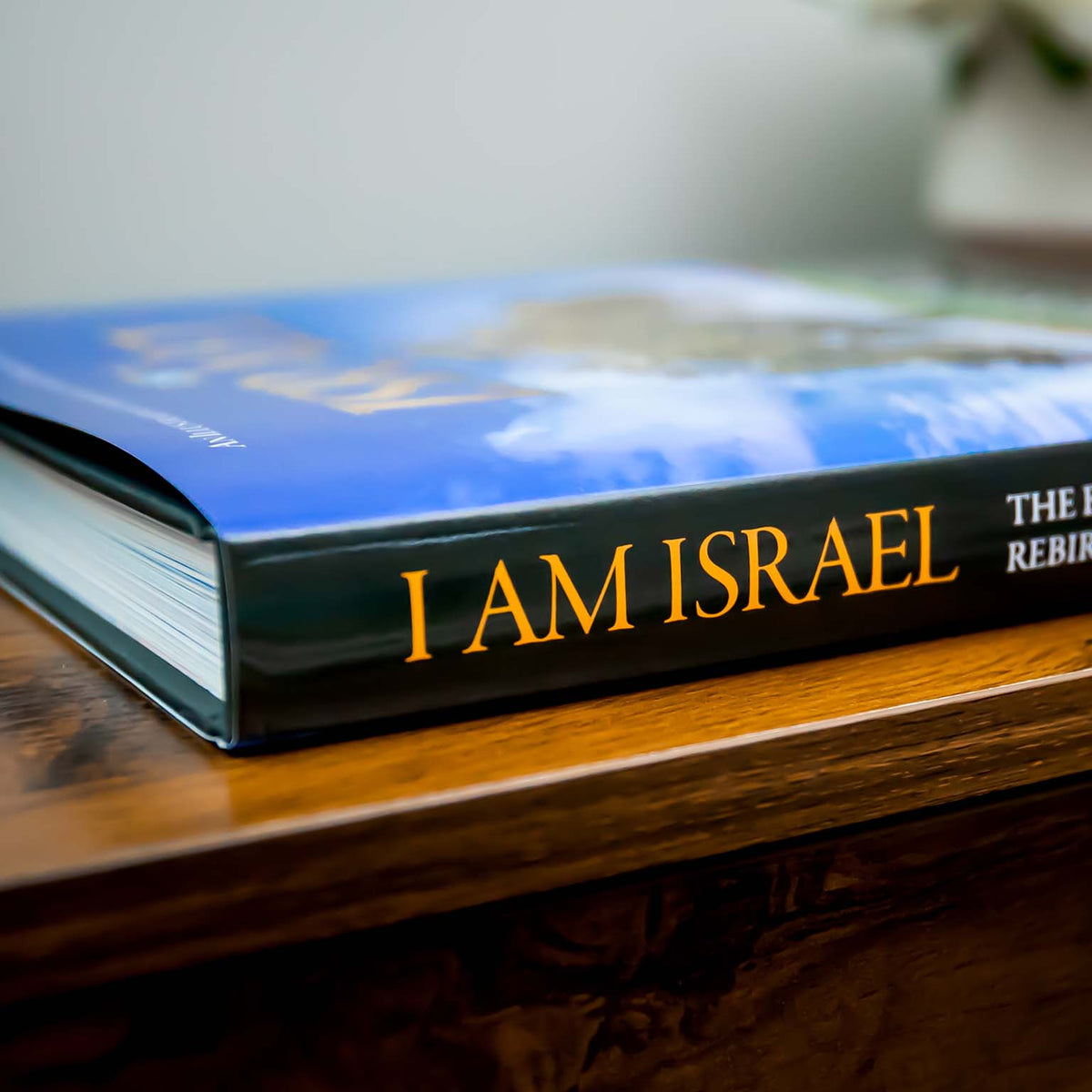 I AM ISRAEL: The Believer's Guide to the Rebirth of the Promised Land ...
